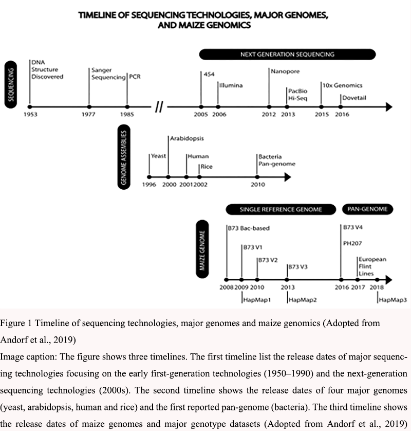 Advancements in Maize Genomic Tools for Enhanced Crop Breeding | Yang ...
