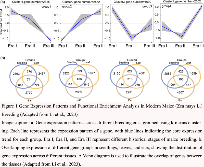 Trends in Maize Genomic Research: Past, Present, and Future | Cheng ...