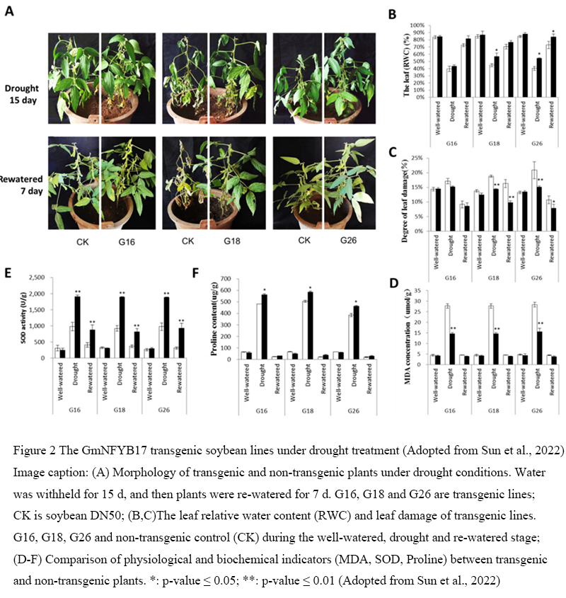 Integrating GWAS and Genomic Selection to Enhance Soybean Breeding ...