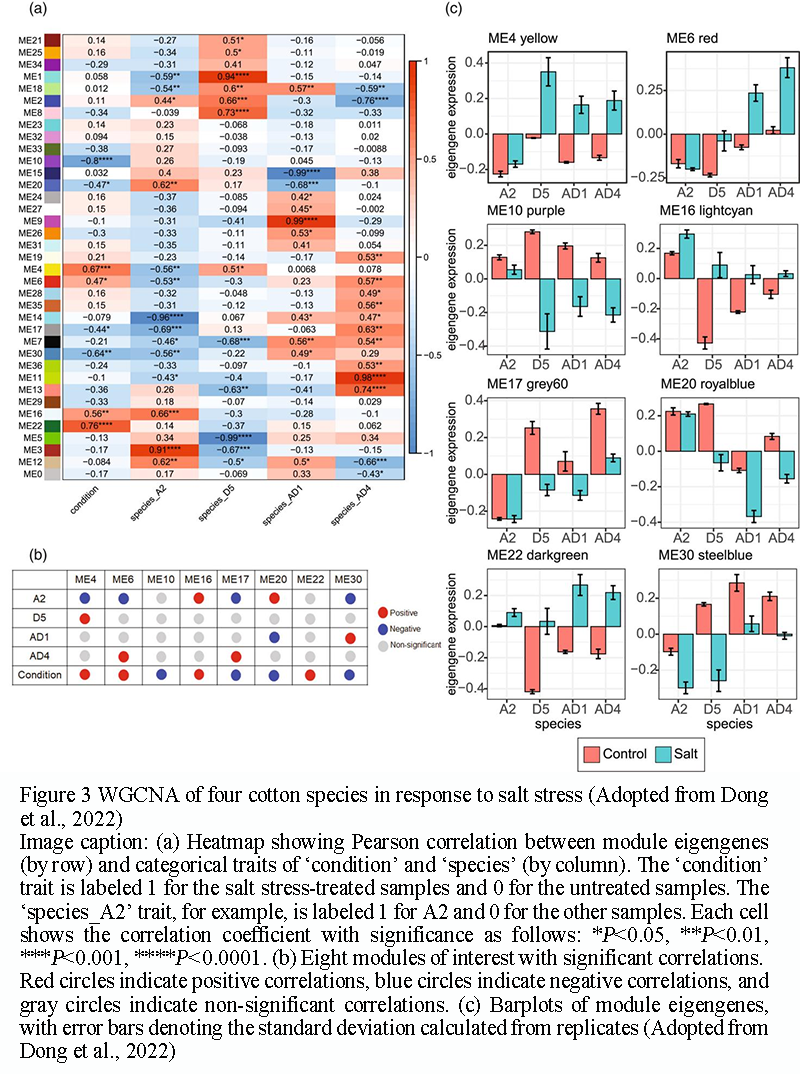 Impact of Polyploidy on the Evolution and Diversity of Cotton | Li ...