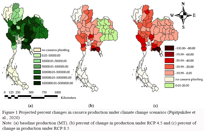 Impact of Climate Change on Cassava Cultivation: Genetic Adaptations ...